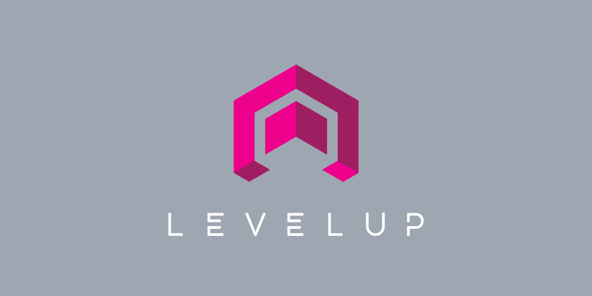 Level Up logo and website design by FUSE4